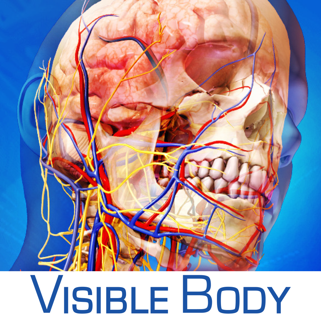 Human Anatomy Wikidoc Riset Human Anatomy Wikidoc Riset